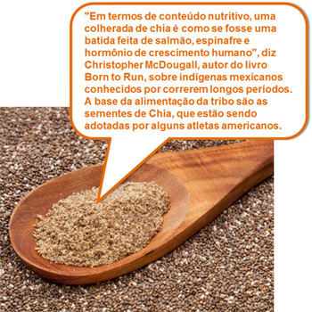 Conheça a Chia, a nova queridinha entre as supercomidas | Papo de Gordo